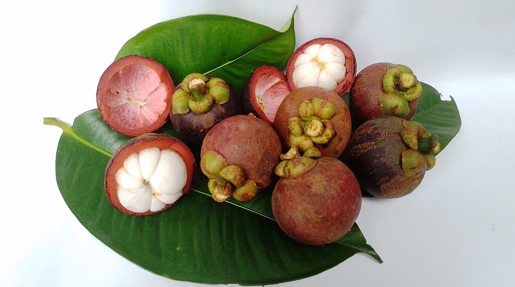 Ragam Manfaat Buah Manggis Bagi Kesehatan - SATUJABAR