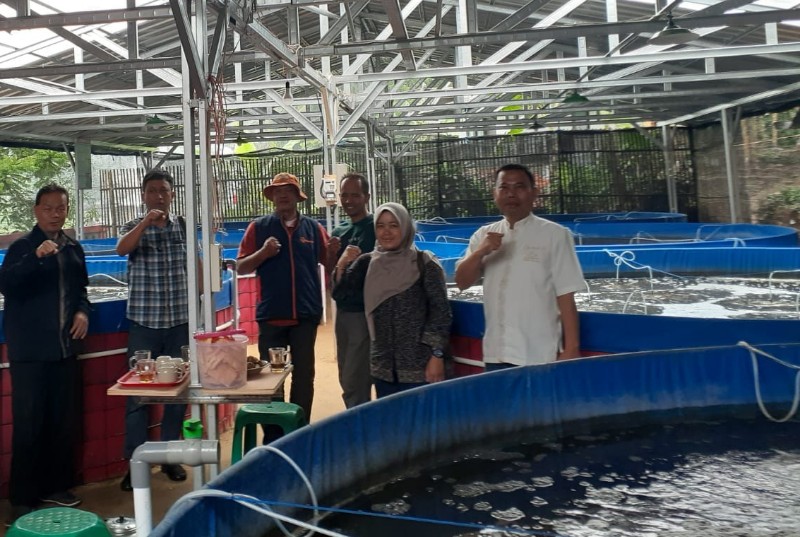 Teknik Budidaya Ikan Bioflok Mulai Digemari di Sumedang - SATUJABAR
